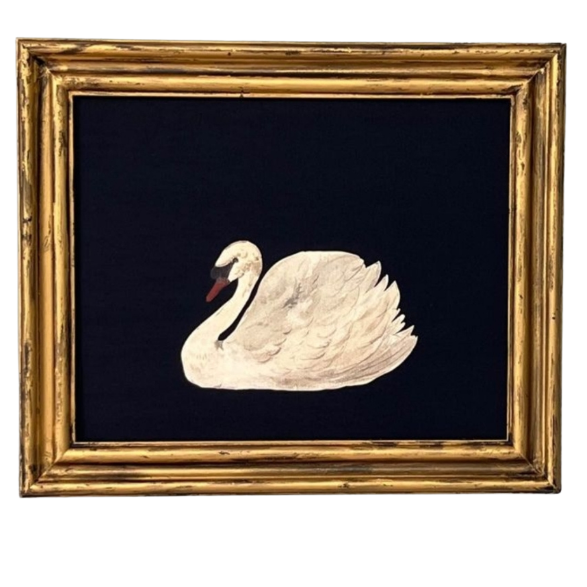 White Swan - Canvas Print in Gold Frame – Kennett Square Print Shop
